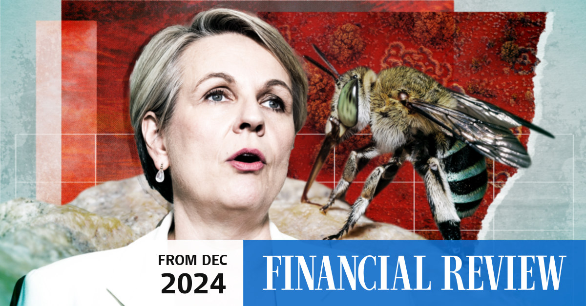 Regis Resource’s McPhillamys gold mine in central NSW blocked by intangible cultural heritage ...